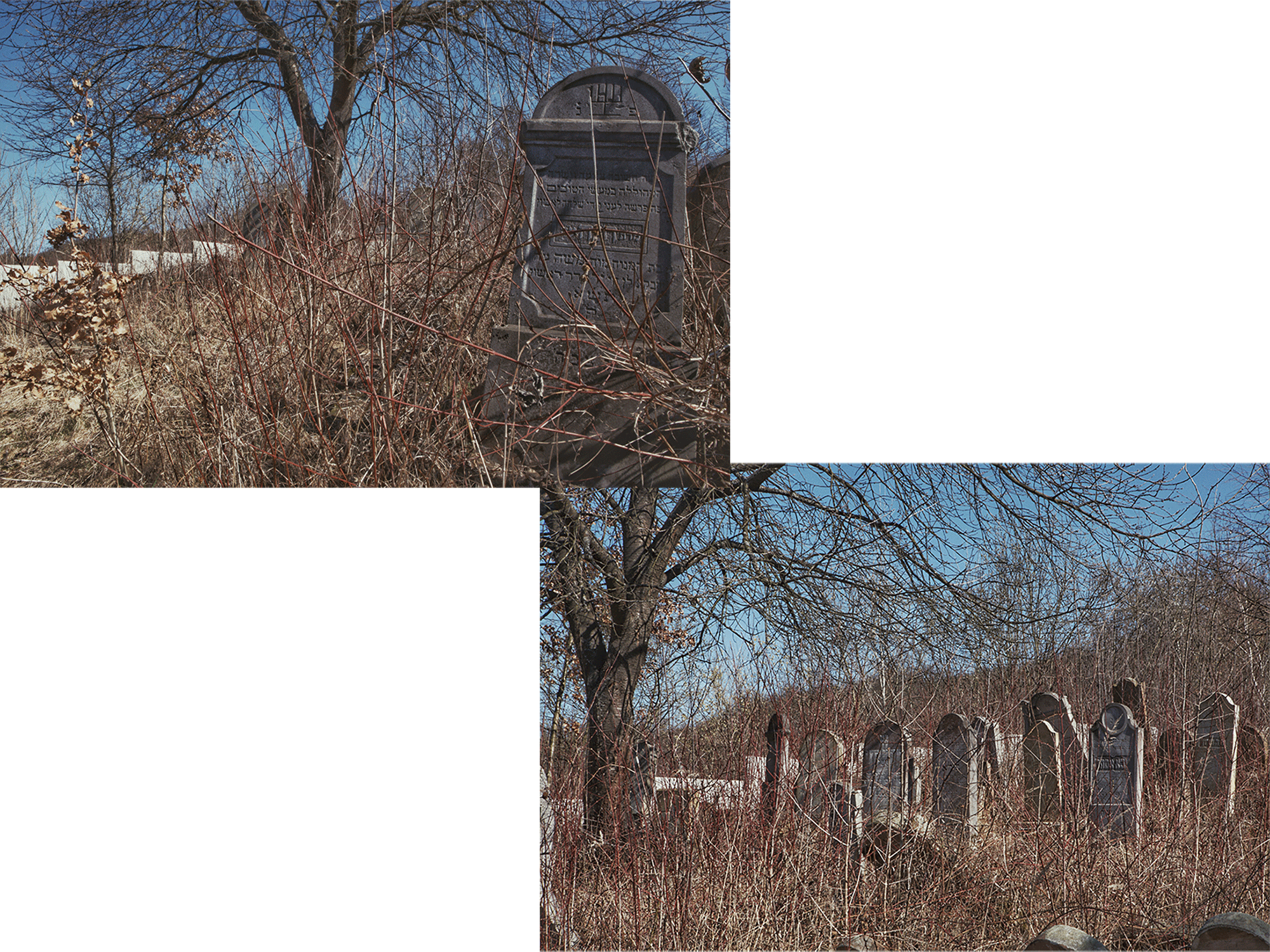 3.5 Reconnecting and Remembering Those Who Live These Lives by Joe Baur ...